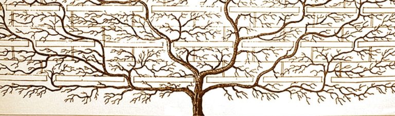 familytree banner | Hill End & Tambaroora Gathering Group