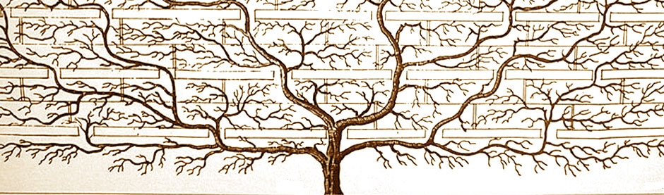 familytree banner | Hill End & Tambaroora Gathering Group
