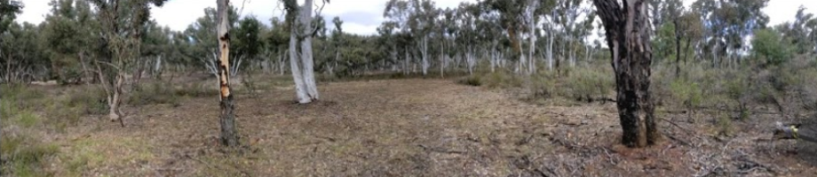 Our Projects 1 | Hill End & Tambaroora Gathering Group